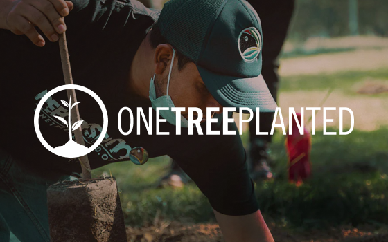 Charity Spotlight: One Tree Planted | Streamlabs