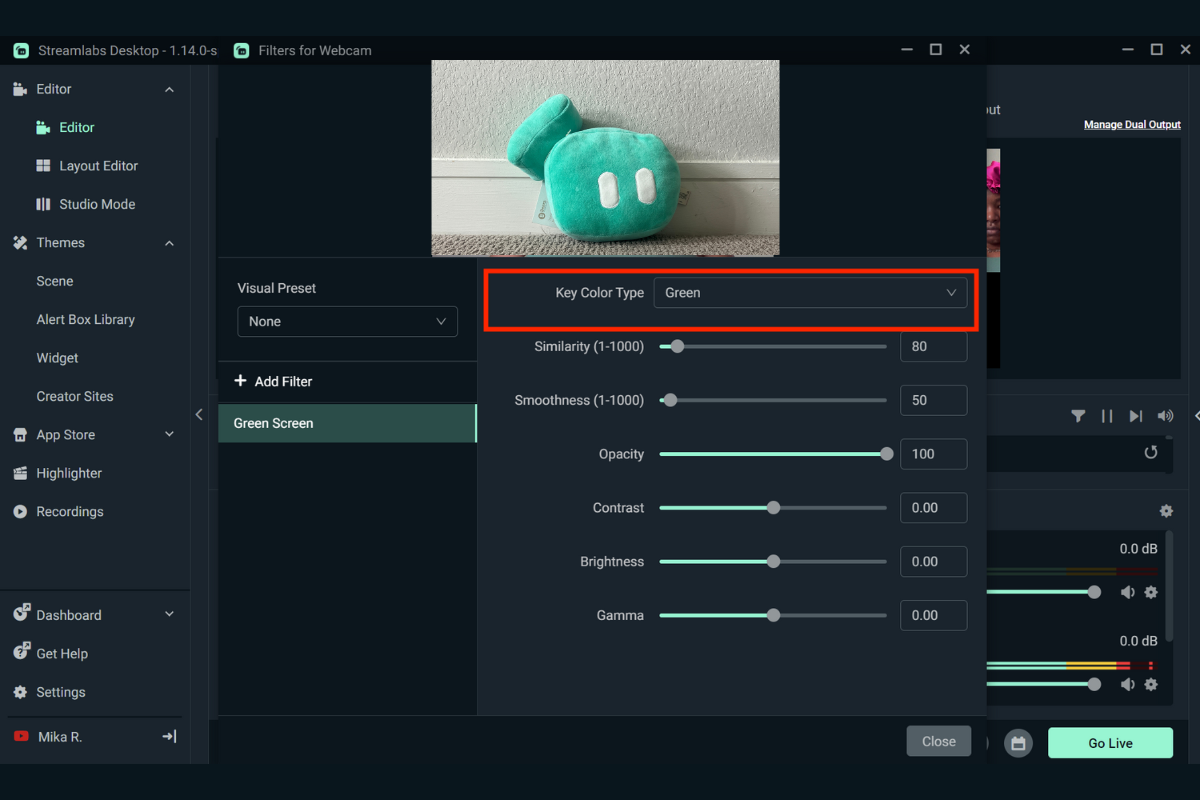 Green Screen 101: Why Do You Need It and How To Use It | Streamlabs